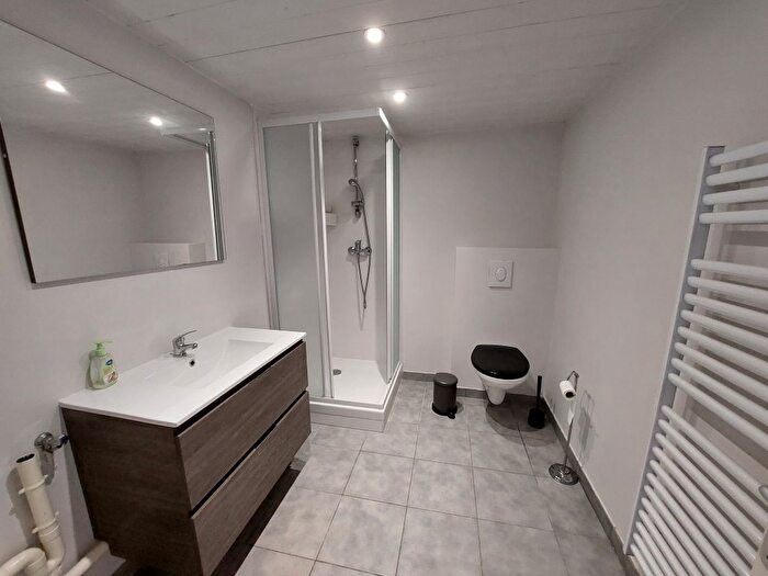 Appartement 1 pièce à louer à Saint-Étienne, Bernay, Valfuret