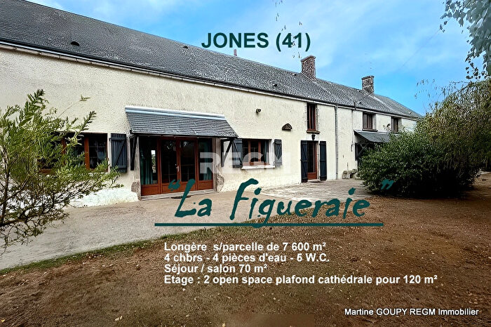 Maison 8 pièces à vendre à Josnes