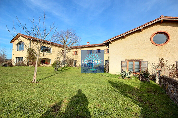 Maison à vendre - Saint-Julien-dOddes - 20 pièces - 8 chambres