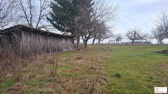 Maison à vendre - Hirtzbach - 7 pièces - 5 chambres