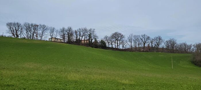 Maison à vendre - Vénès - 5 pièces