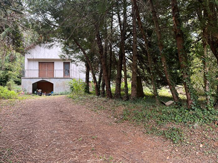 Maison à vendre - Vicq-sur-Nahon - 5 pièces - 3 chambres