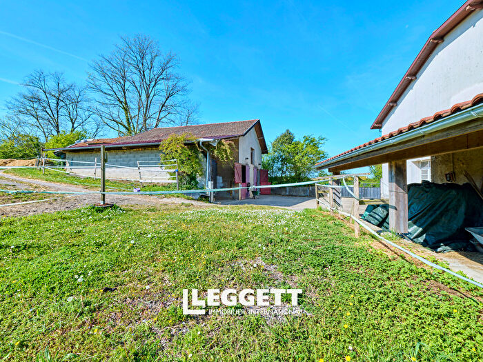 Labatut : Maison 12 pièces à vendre