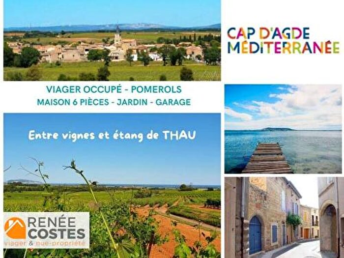 Maison à vendre - Pomérols - 6 pièces - 5 chambres