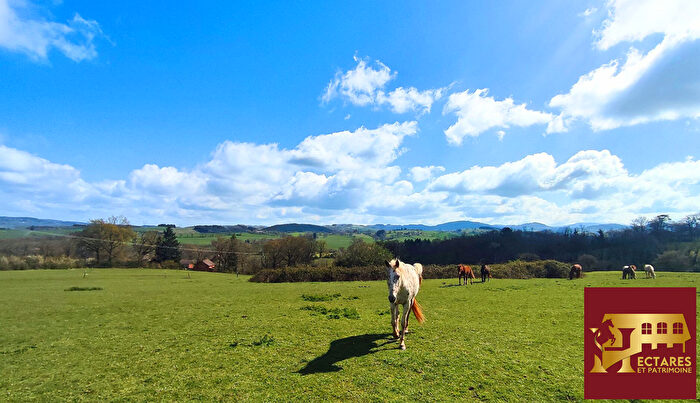 Maison à vendre - Lapalisse - 5 pièces - 3 chambres