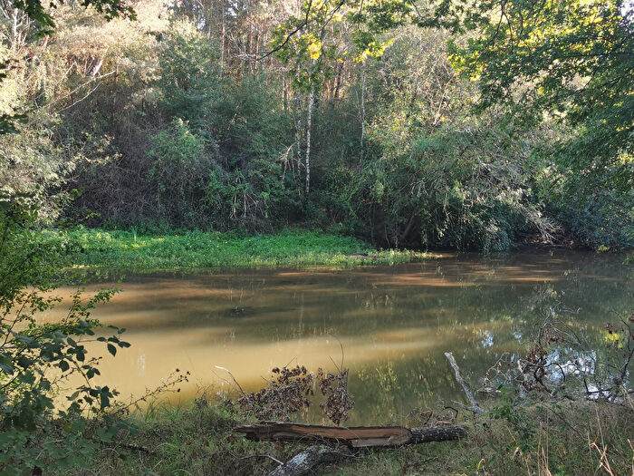 Maison à vendre - Romorantin-Lanthenay - 2 pièces - 1 chambre