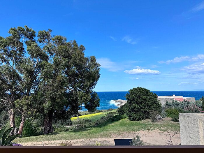 Appartement à louer - Corbara - 2 pièces - 1 chambre