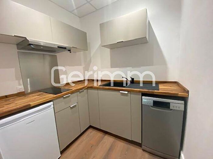 Appartement à louer - Ile Verte, Grenoble - 1 pièce