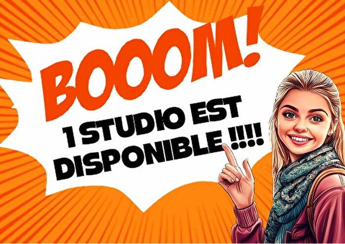 Appartement à louer - Les Ponts-de-Cé - 1 pièce