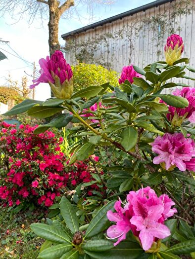 Maison à vendre - Vannes - 8 pièces - 5 chambres