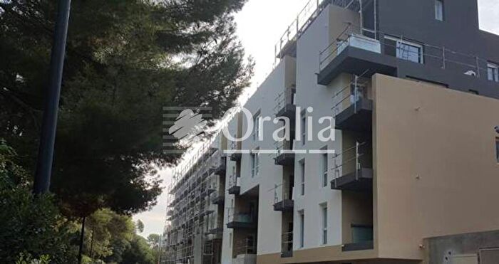 Aiguelongue, Montpellier : Appartement 1 pièce à louer