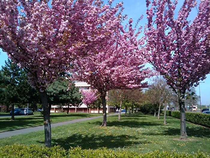 Appartement à vendre - Metz, Patrotte, Metz-Nord - 4 pièces - 3 chambres