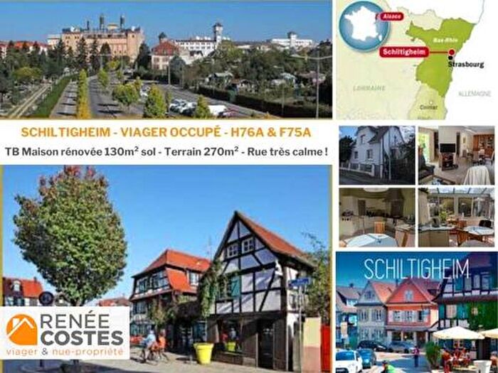 Maison à vendre - Schiltigheim, Brasserie Fischer, Mont des Alouettes - 5 pièces - 3 chambres