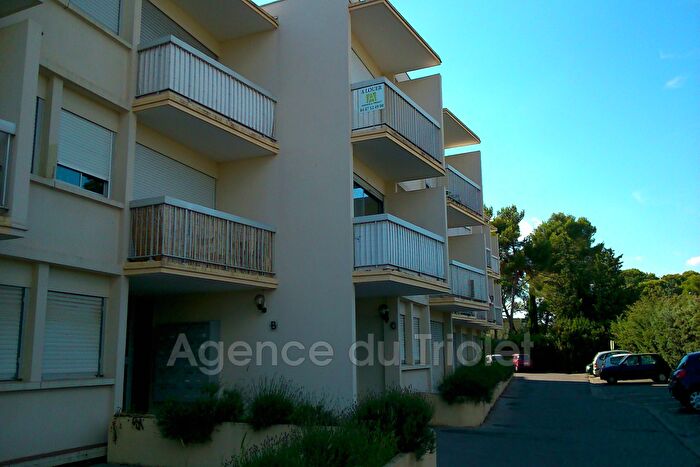 Appartement à louer - Montpellier, Aiguelongue - 1 pièce