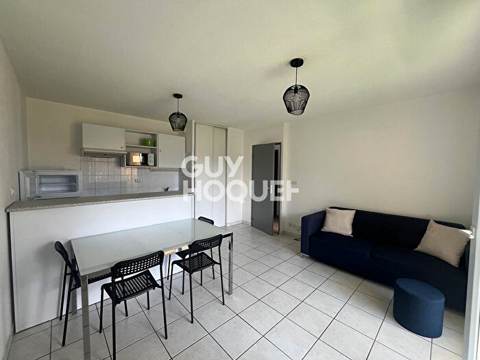 LIsle-dAbeau, Le Petit Prince - Appartement 2 pièces à louer