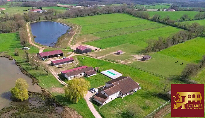 Maison à vendre - Neuville-les-Dames - 15 pièces - 8 chambres