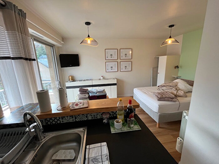 Appartement à louer - Saint-Geniez-dOlt - 1 pièce