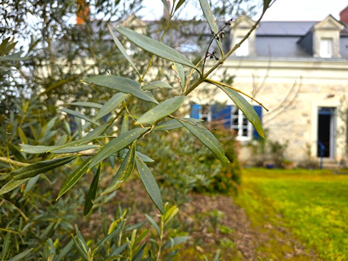 Maison à vendre - Saint-Mathurin-sur-Loire - 12 pièces - 9 chambres