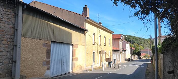 Maison 10 pièces à Rive-de-Gier, Mouillon, Jangelaude, Vernes, à vendre