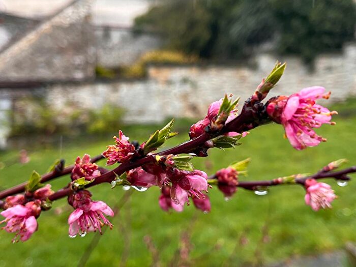 Maison à vendre - Vigny - 4 pièces - 2 chambres