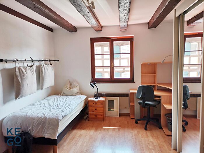 Illkirch-Graffenstaden, Centre Ouest - Appartement 1 pièce à louer