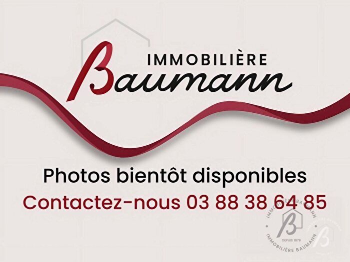 Appartement à louer - Urmatt - 2 pièces - 1 chambre