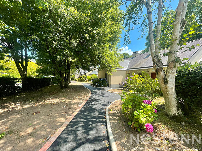 Maison à louer - Ploemel - 3 pièces - 1 chambre