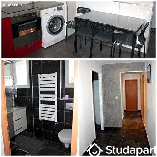 Appartement à louer - Croix Rouge-Portail-Rouge Sémard, Saint-Martin-dHères - 1 pièce - 2 chambres