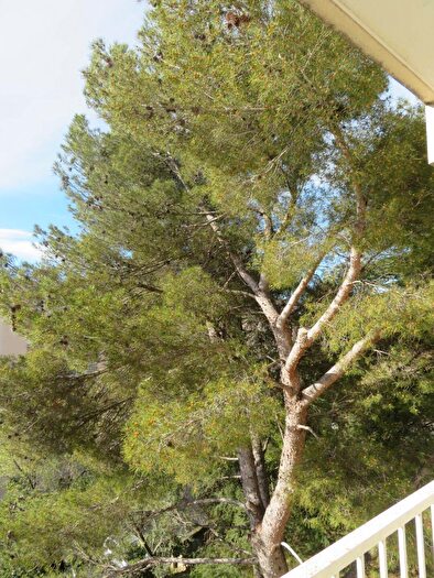 Appartement à louer - La Gazelle, Nîmes - 2 pièces - 1 chambre