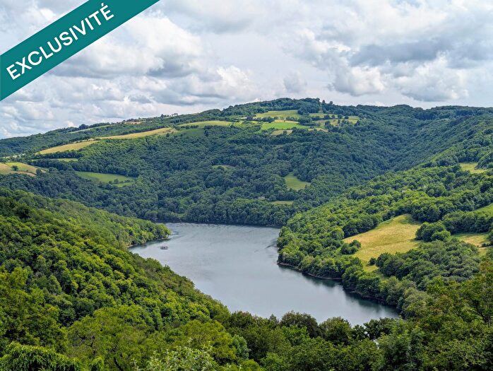 Maison à vendre - Castelnau-de-Mandailles - 4 pièces - 3 chambres