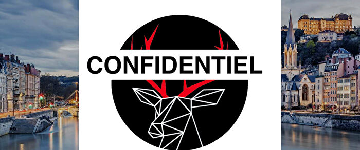 Maison à vendre - Lyon e  - 10 pièces - 4 chambres