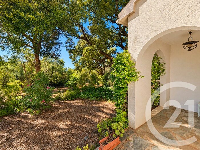Maison 6 pièces à vendre à Oletta