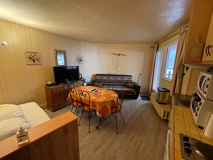 Appartement à vendre - Laveissière - 1 pièce