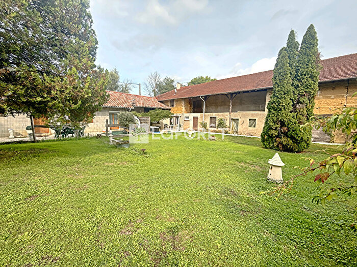 Maison à vendre - Dommartin - 9 pièces - 5 chambres