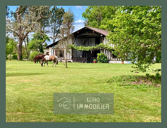 Maison à vendre - Luxey - 7 pièces - 5 chambres