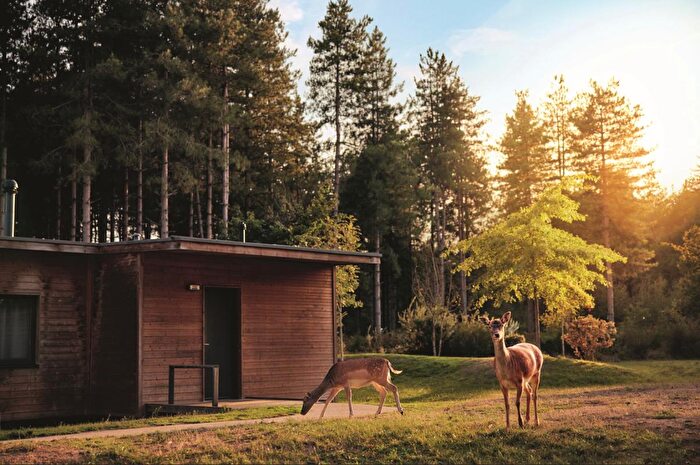 Appartement à vendre - Morton - 4 pièces