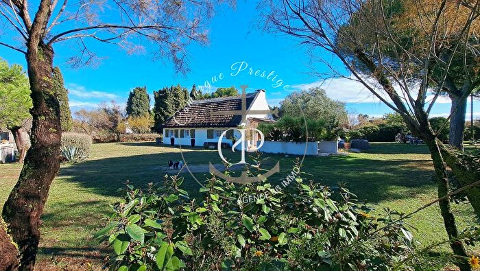 Maison à vendre - Saintes-Maries-de-la-Mer - 4 pièces - 2 chambres