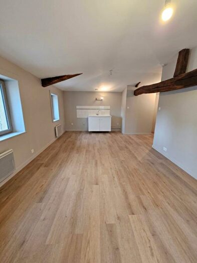 Saint-Symphorien-sur-Coise - Appartement 2 pièces à louer