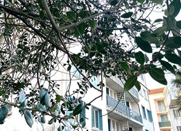 Appartement à louer - Toulouse - 3 pièces - 2 chambres