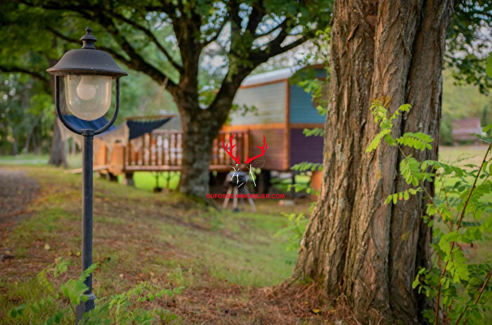 Maison à vendre - La Rochelle - 9 pièces - 5 chambres