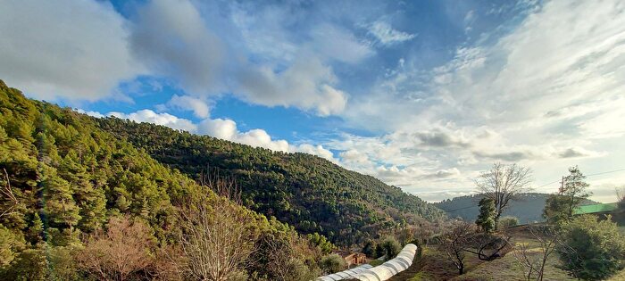 Maison à vendre - LEscarène - 5 pièces - 4 chambres