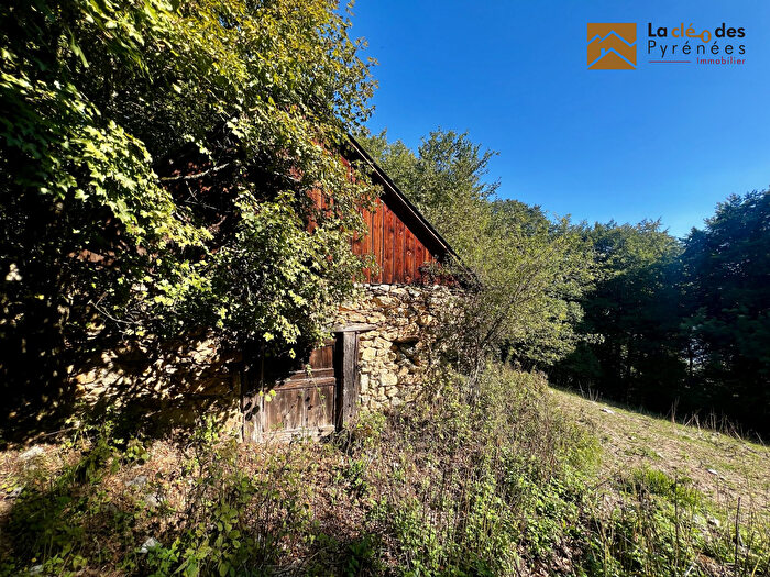 Maison 2 pièces à vendre à Aspin-Aure