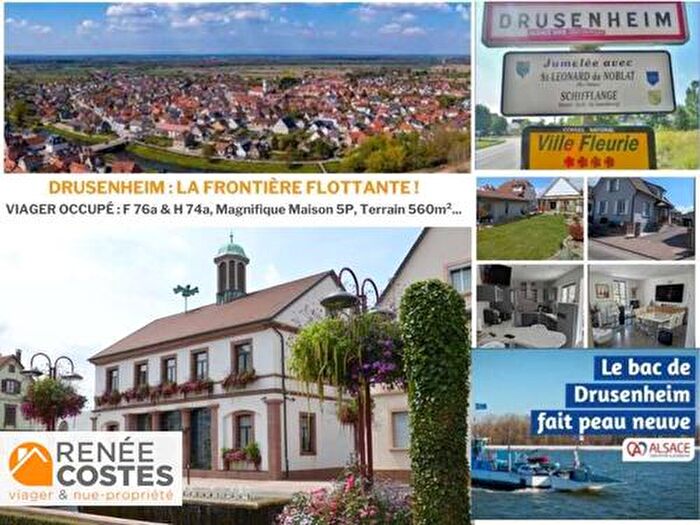 Maison 5 pièces à vendre - Drusenheim