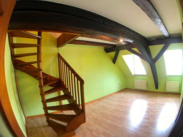 Krutenau Centre Est, Strasbourg - Appartement 3 pièces à louer
