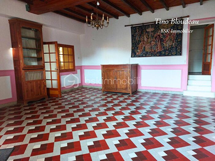 Civray-de-Touraine - Maison 13 pièces à vendre