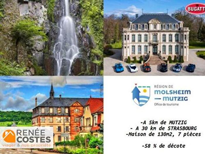 Maison à vendre - Still - 7 pièces - 5 chambres