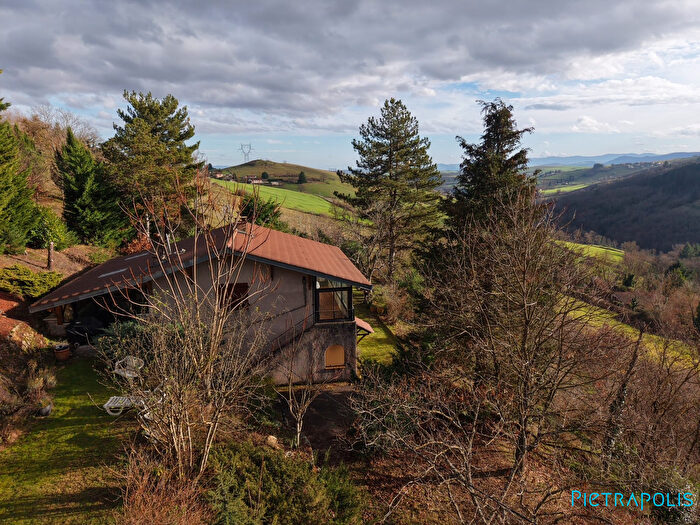 Maison à vendre - Saint-Clément-sur-Valsonne - 6 pièces - 3 chambres