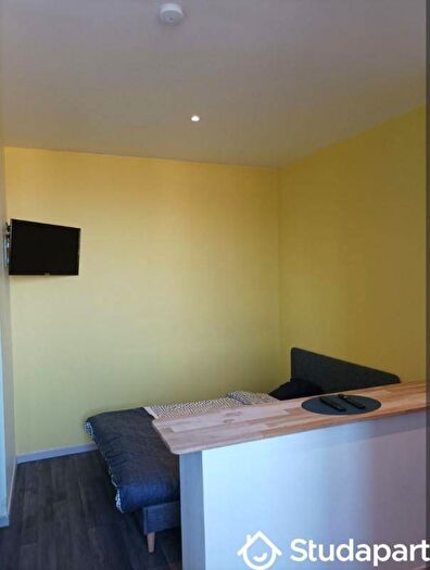 Appartement à louer - Tarentaize-Beaubrun-Severine, Saint-Étienne - 1 pièce