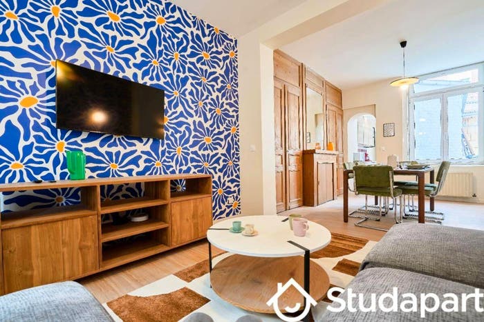 Saint Maurice-Pellevoisin, Lille : Appartement 1 pièce à louer