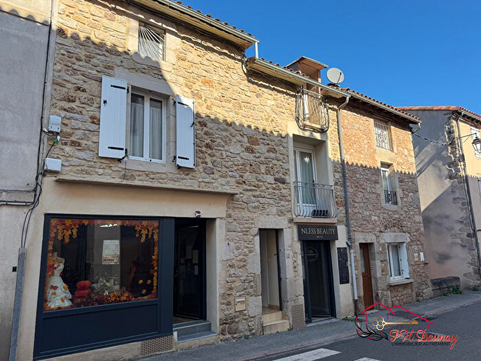 Maison à vendre - Saint-Rome-de-Tarn - 11 pièces - 4 chambres